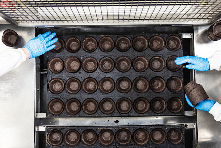 Our Bakery - Milish Bakery